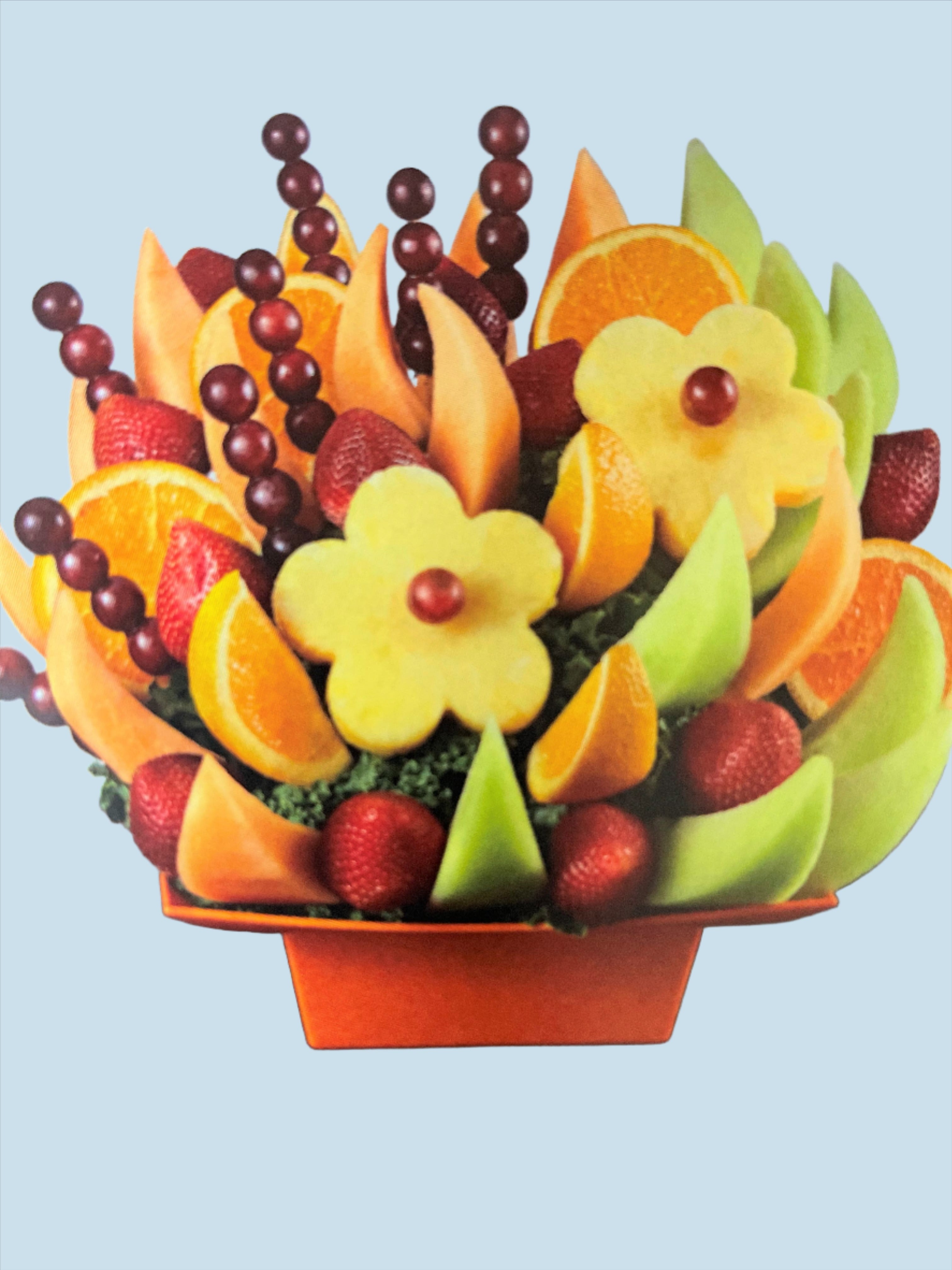 ABUNDANT FRUIT SPENDOR – anthonysproduce